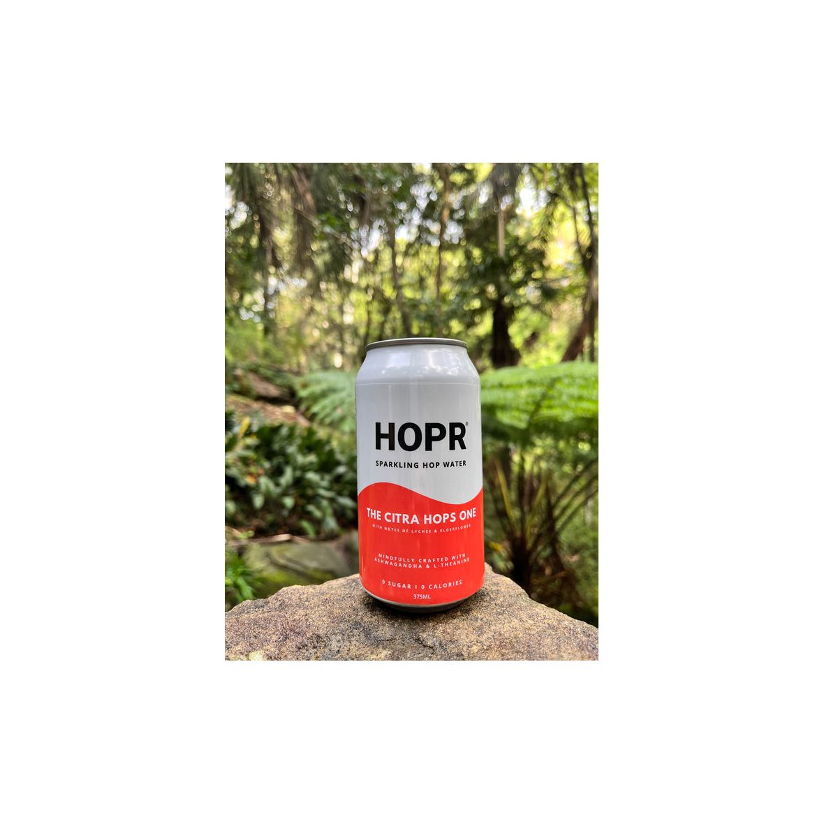 Non-Alcoholic :: Hop Sparkling Seltzer :: HOPR The Citra Hops One ...
